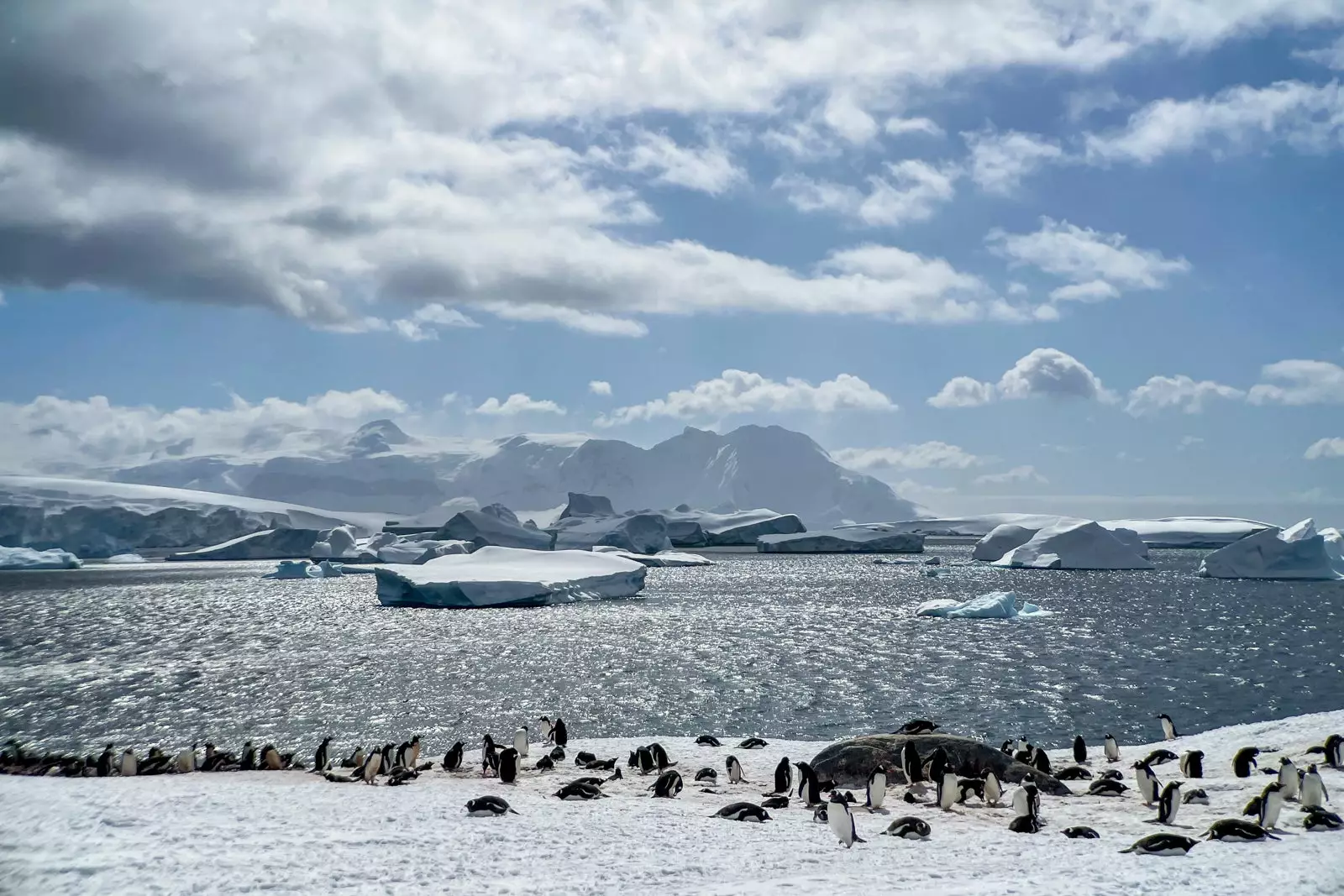 Tataiso ea lisebelisoa tsa Antarctica: Seo u hlokang ho se paka bakeng sa leeto la ho ea White Continent