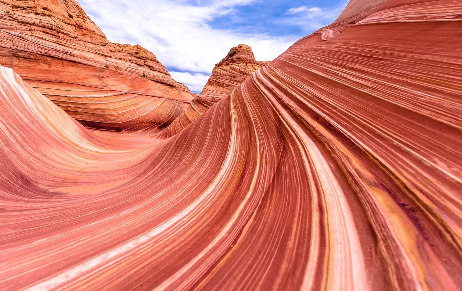 The Wave. (Fotografija Praveen P.N/Getty Images)