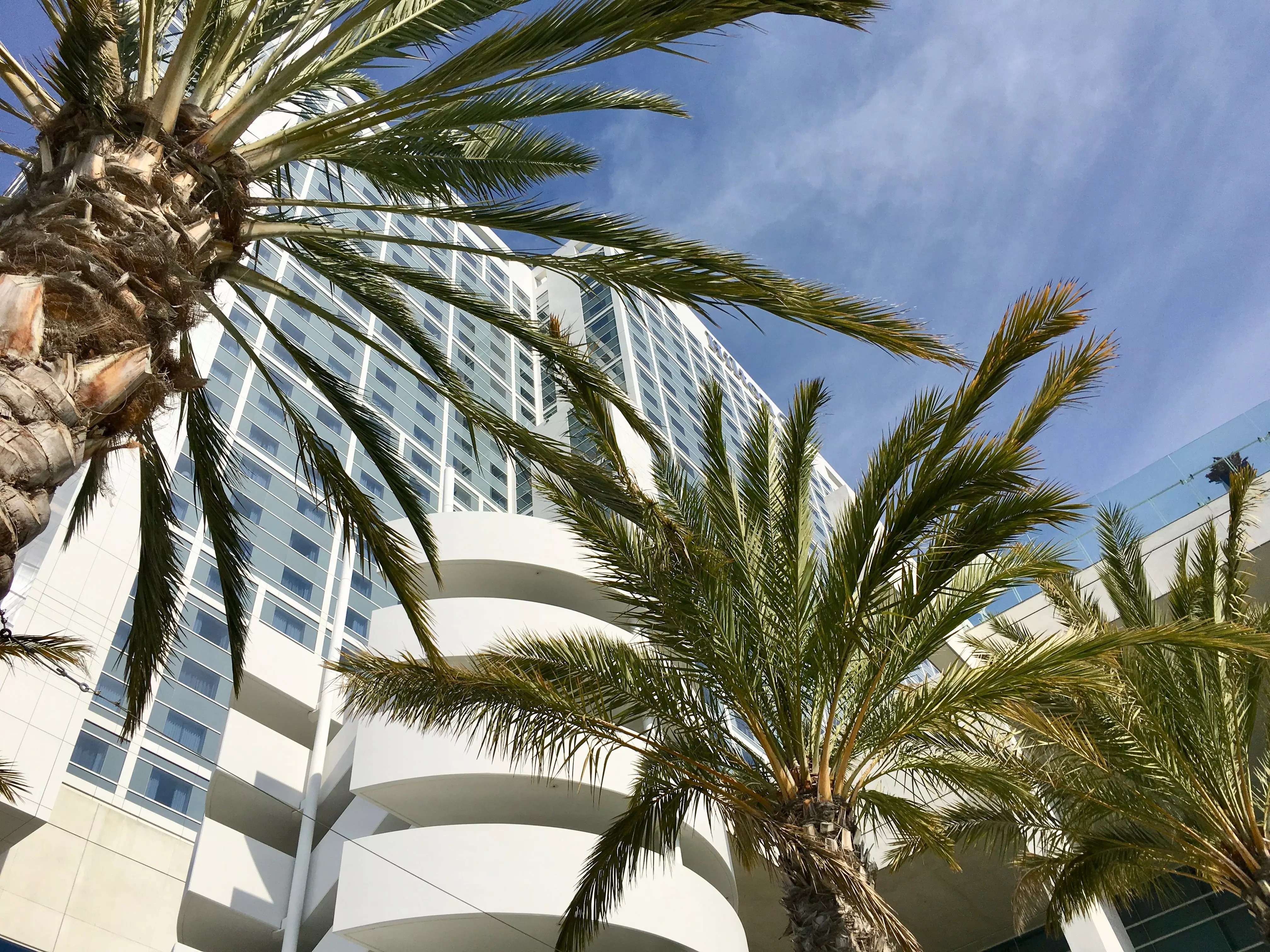 Hilton San Diego Bayfront palmės