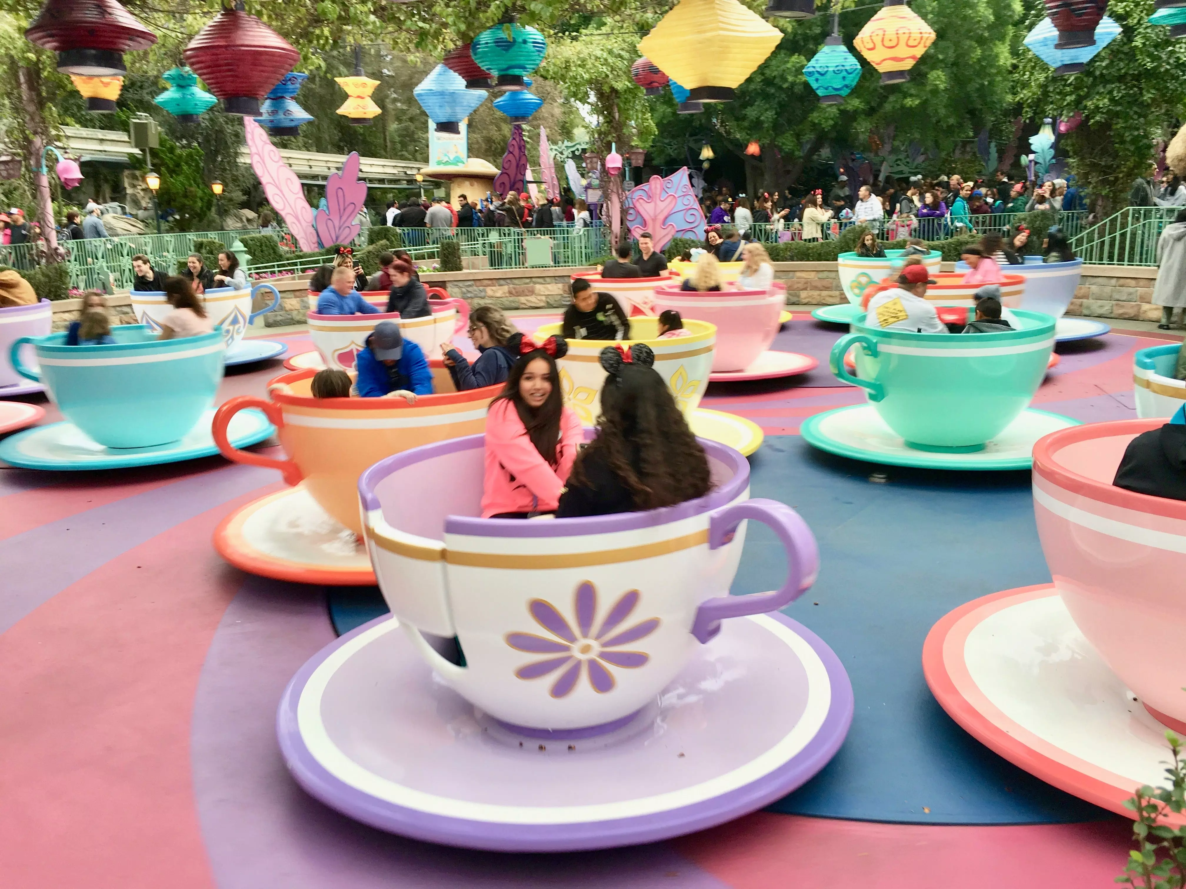 አሊስ በ Wonderland Teacups በዲስኒላንድ አናሄይ እየጋለበ፣