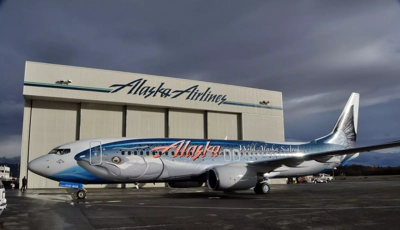 Unha balea de librea para Alaska Airlines 115_2