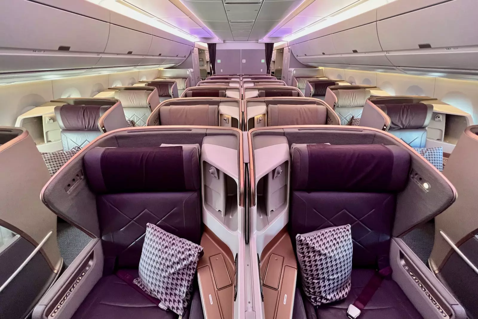 Comparando a classe executiva e a econômica premium da Singapore Airlines na mesma rota de 448 milhas 119_45