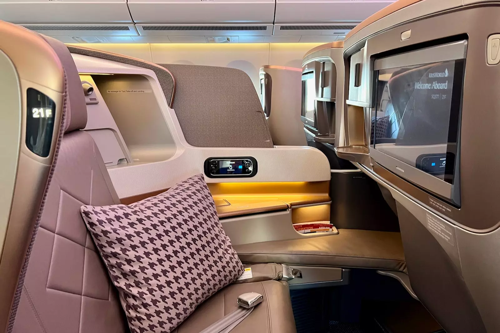 Comparando a classe executiva e a econômica premium da Singapore Airlines na mesma rota de 448 milhas 119_52