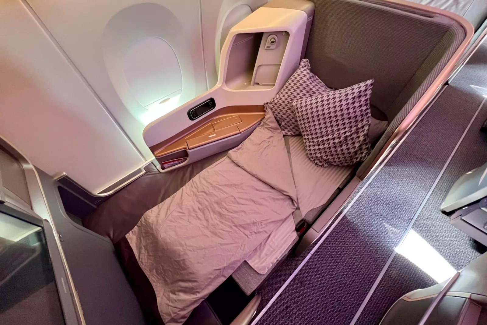 Comparando a classe executiva e a econômica premium da Singapore Airlines na mesma rota de 448 milhas 119_60