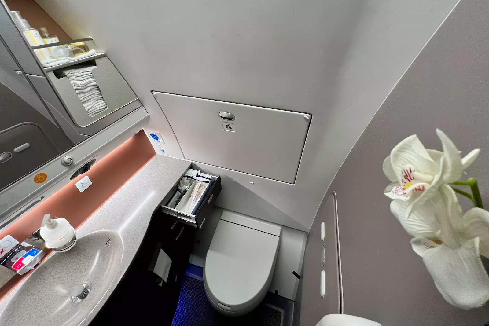 Comparando a classe executiva e a econômica premium da Singapore Airlines na mesma rota de 448 milhas 119_74