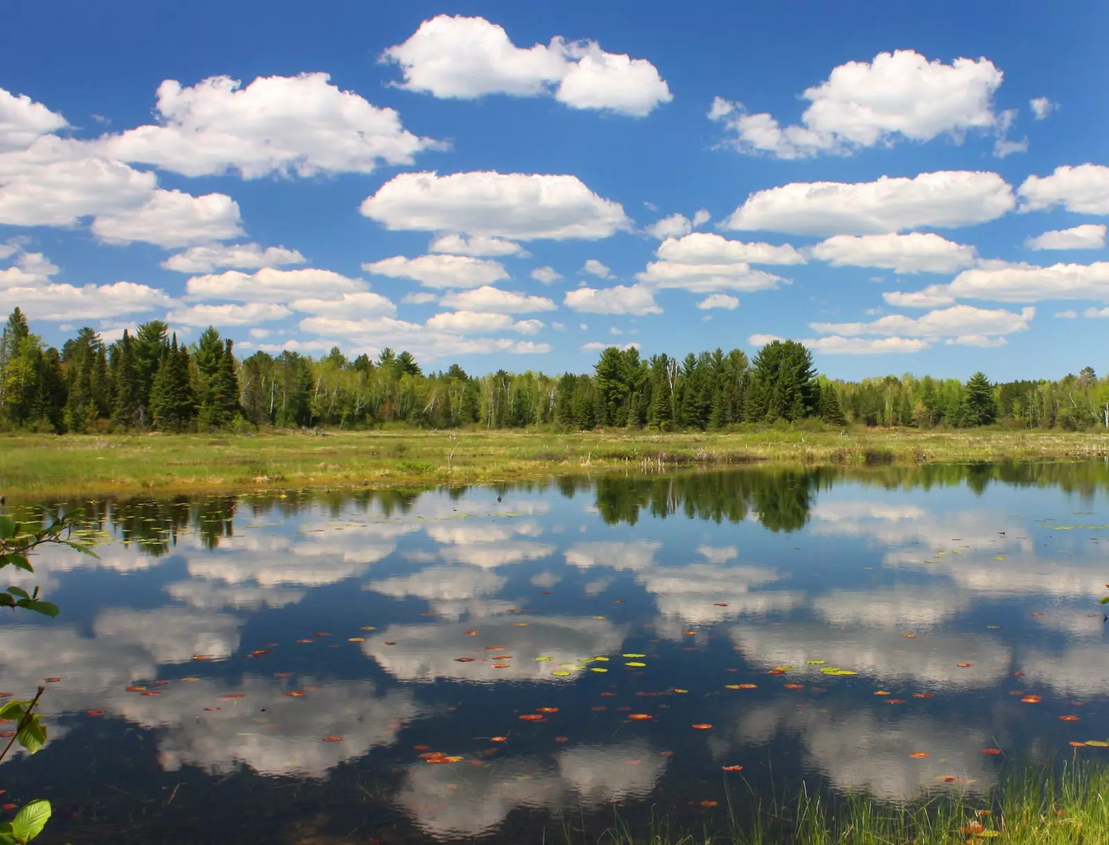 Rush Lake u okrugu Northern Vilas, Wisconsin.