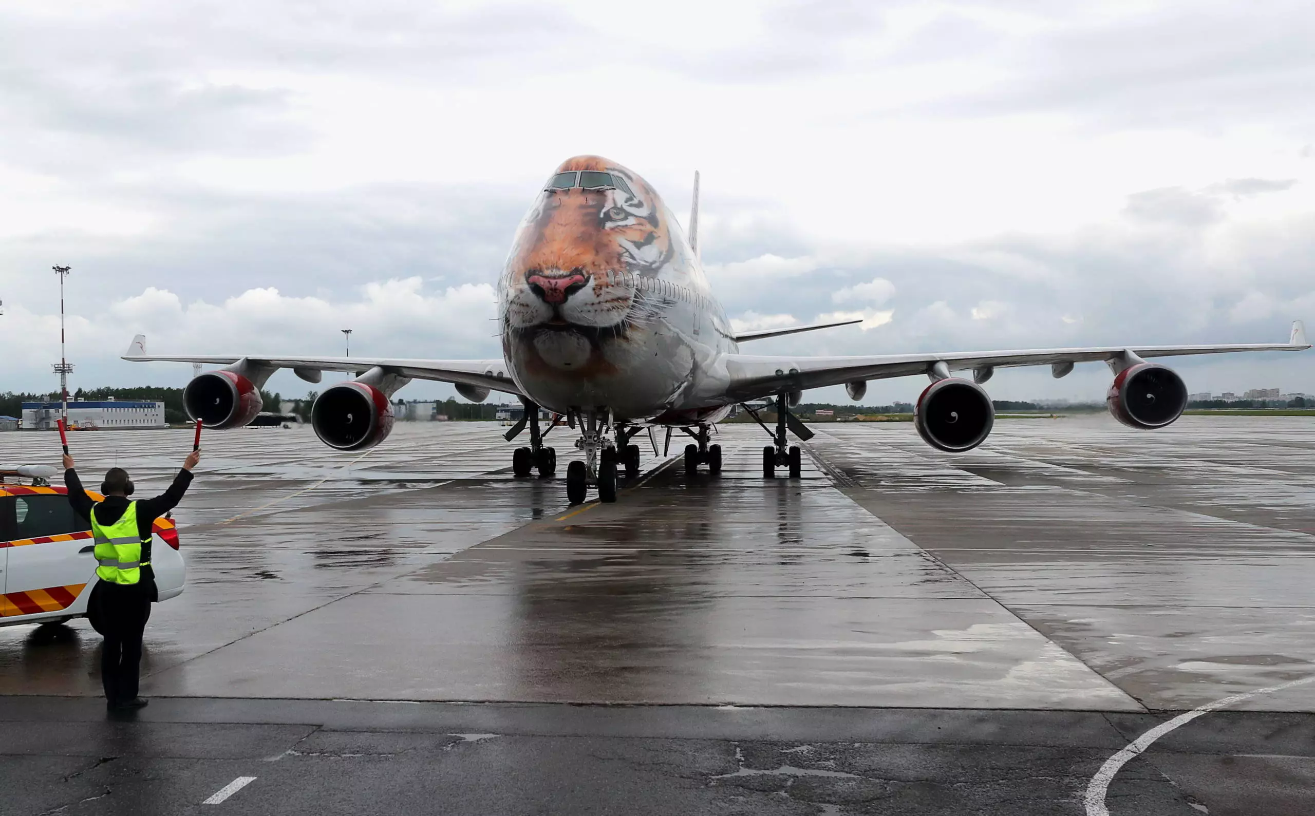 SANKTPETERBURGA, KRIEVIJA 2019. GADA 2. JŪNIJS: Sanktpēterburgas Pulkovas lidostā Rossiya Airlines apkalpoja pasažieru lidmašīna Boeing 747-400 ar Amūras tīģera seju uz tās deguna konusa. Aleksandrs Demiančuks/TASS (Foto Aleksandra Demiančuka TASS, izmantojot Getty Images)