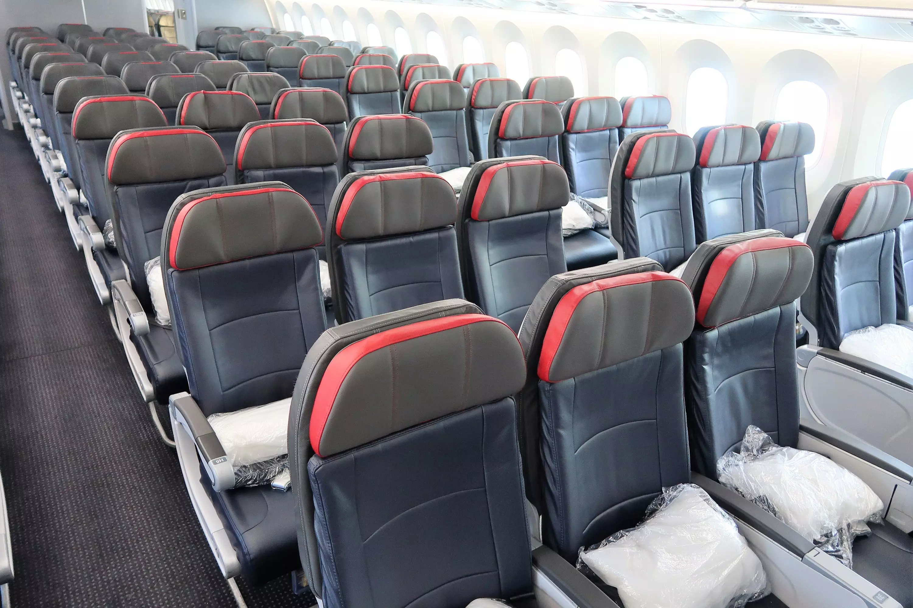 Economy-Sitze in Boeing 787-8 von American Airlines. Foto von Katie Genter / TPG.