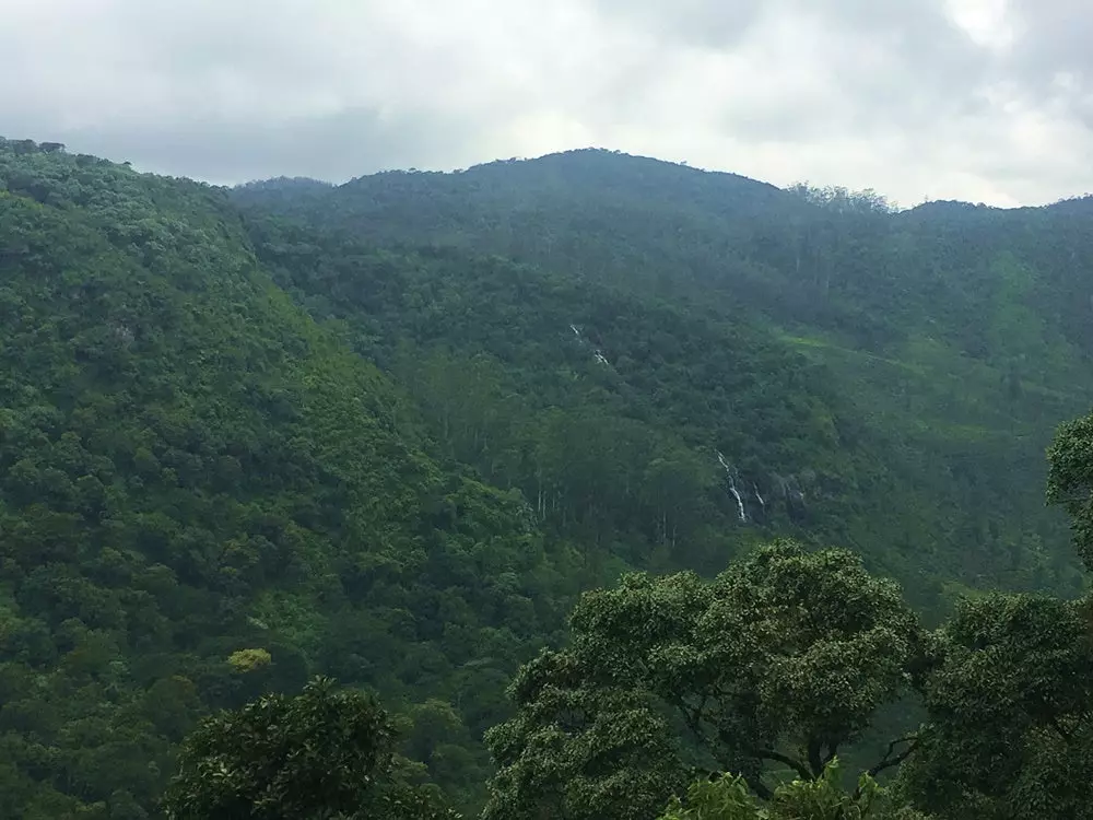 Anmeldelse: Sri Lanka Railways in Second Class Fra Kandy til Ella 12253_21