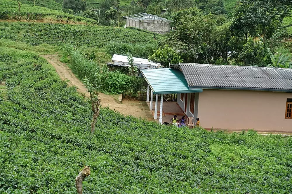 Rückblick: Sri Lanka Railways in zweiter Klasse von Kandy nach Ella 12253_24