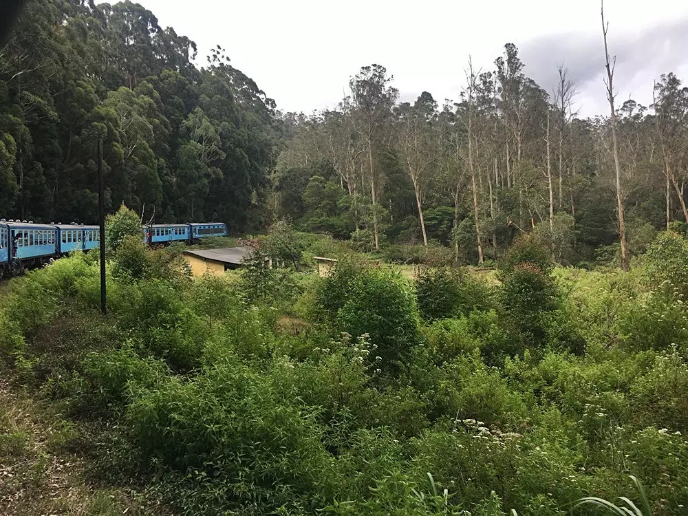 Rückblick: Sri Lanka Railways in zweiter Klasse von Kandy nach Ella 12253_30