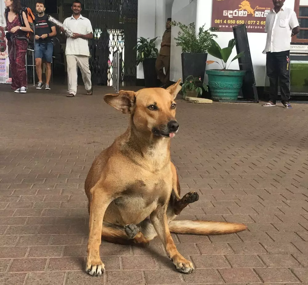 Kuring ningali budak leutik ieu bari ngantosan naek kapal.