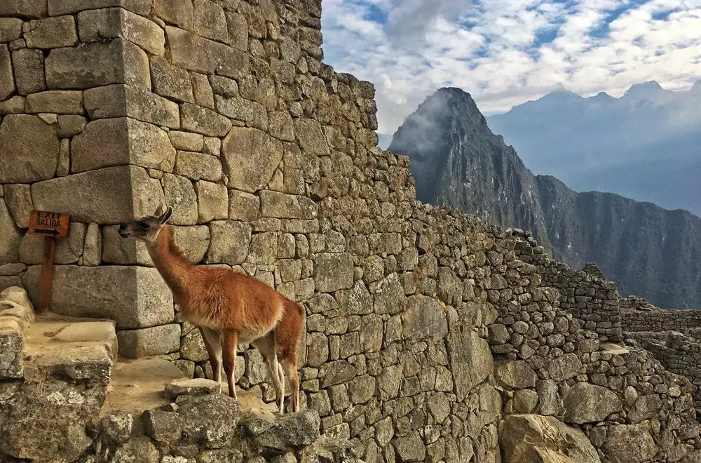 Questi ragazzi non devono preoccuparsi di punture di zanzara, scottature e bottiglie d'acqua.