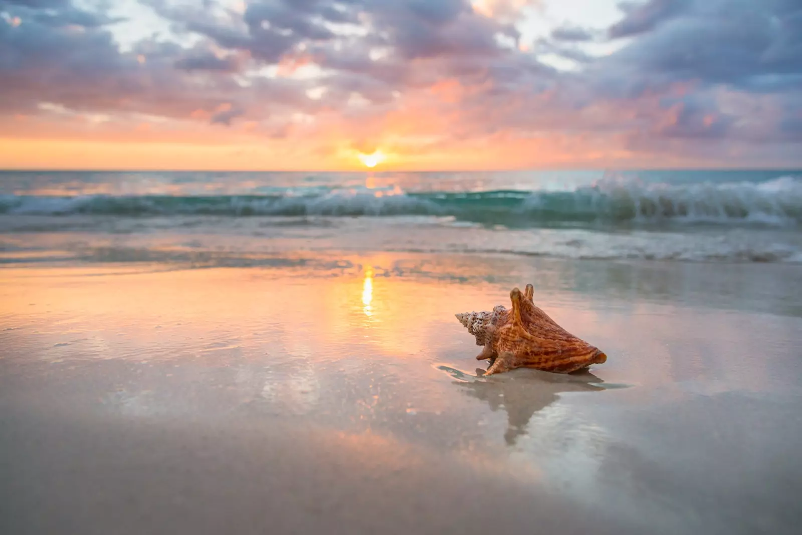 Jamaika, Conch dop op strand