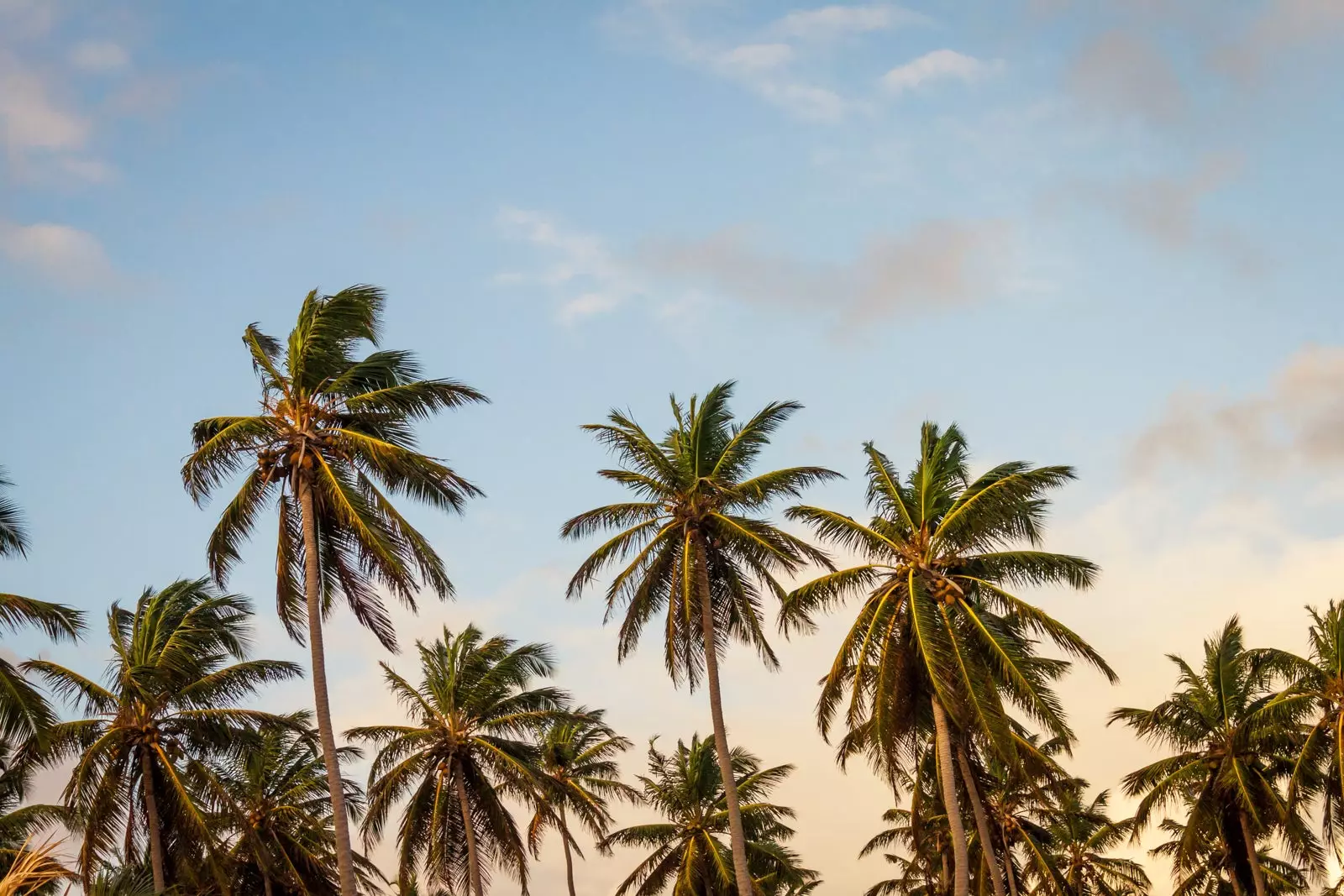 Pinakamahusay na oras upang bisitahin ang Caribbean