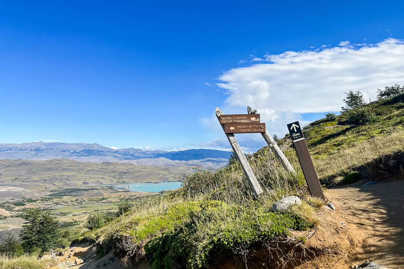 Paradeise e Patagonia: Tsela eo ke entseng toro ka leeto la Amerika Boroa e etsahetse mehleng ea omicron