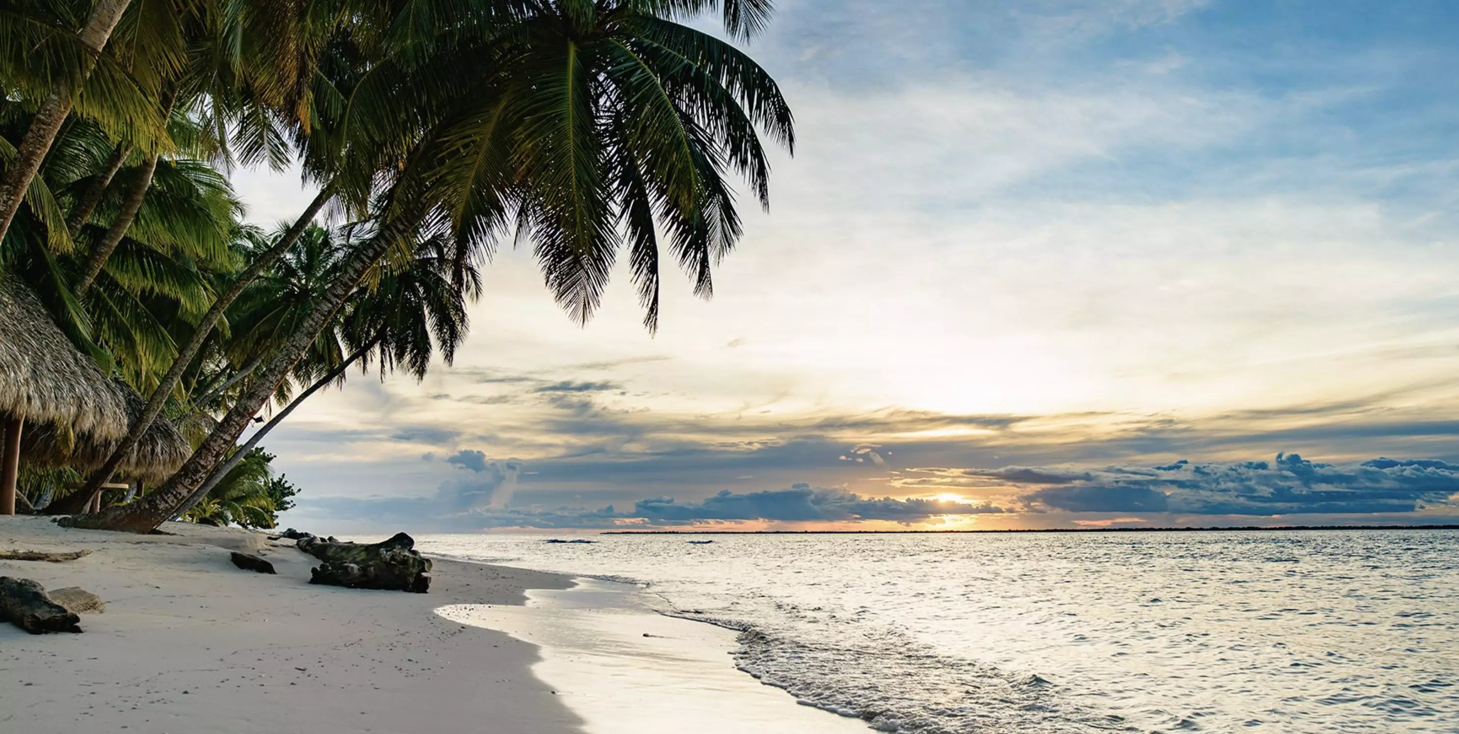 Bild mit freundlicher Genehmigung von Calala Island.