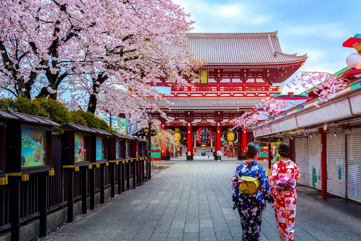 Mga Cherry Blossom ng Tokyo