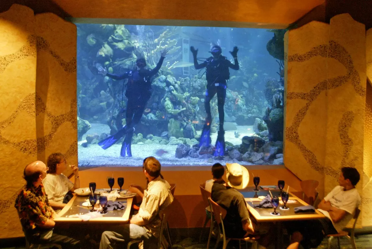 restaurant ng walt disney world coral reef