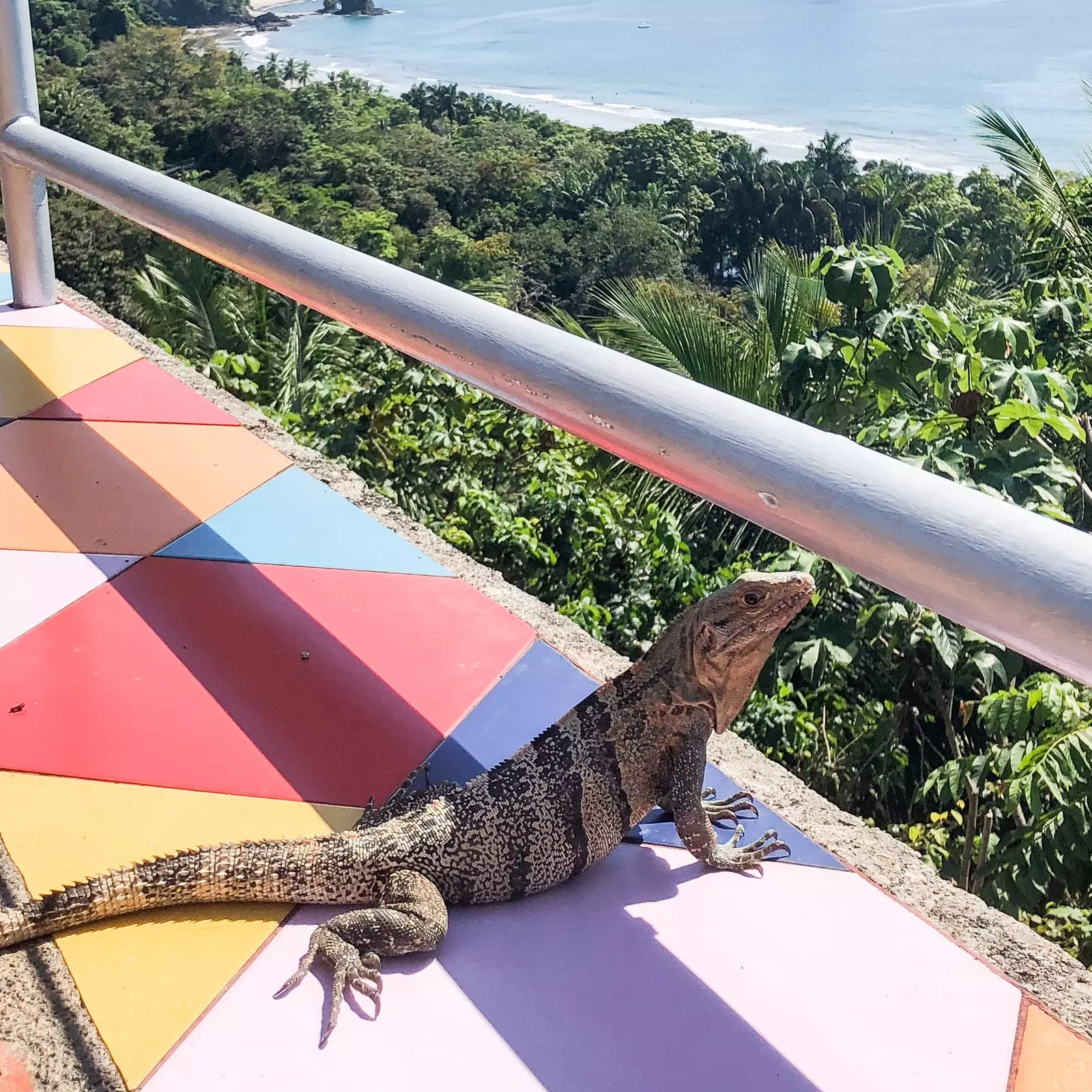 Una revisió de la Suite Fuselatge a l'Hotel Costa Verde, Costa Rica 23411_46