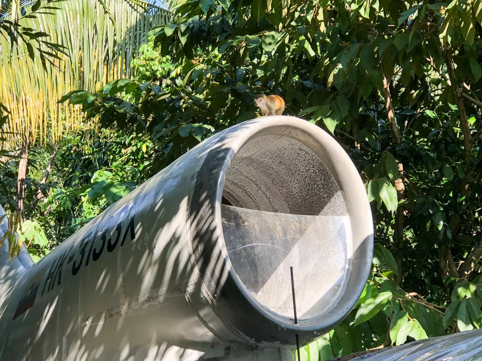 Ein Rückblick auf die Rumpfsuite im Hotel Costa Verde, Costa Rica 23411_7