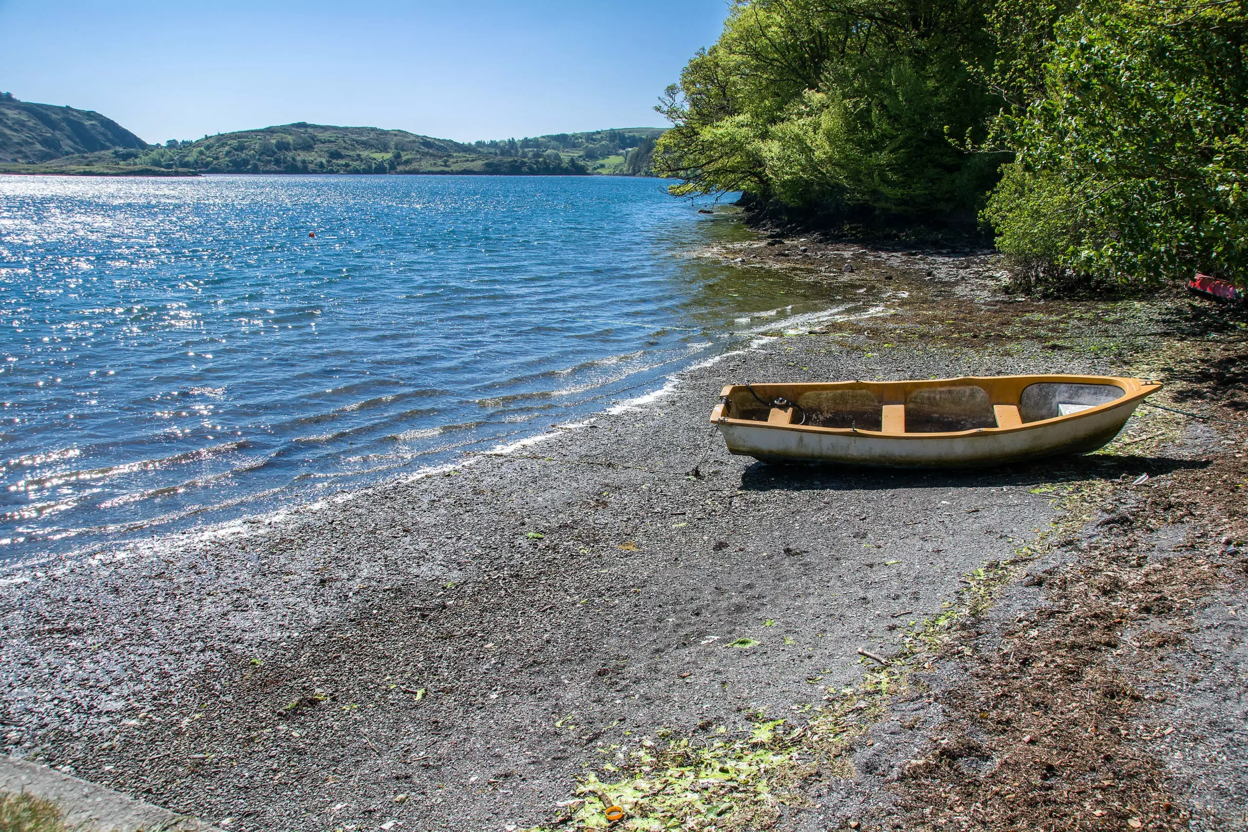 Prírodná rezervácia Loch Hyne. (Foto od PhilDarby/Getty Images)