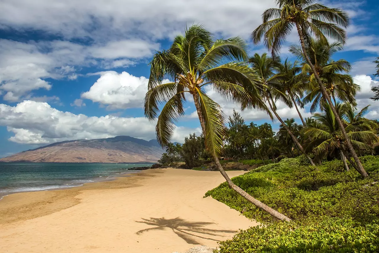 Sig Aloha til lave priser: Southwest Airlines sælger nu billetter til Hawaii