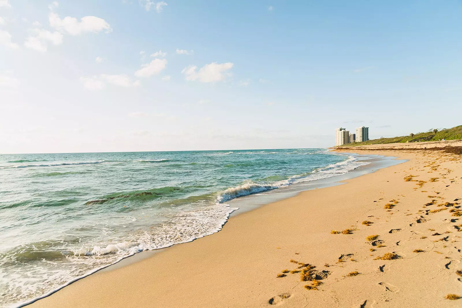 John D. MacArthur Beach State Park Palm Beach Florida