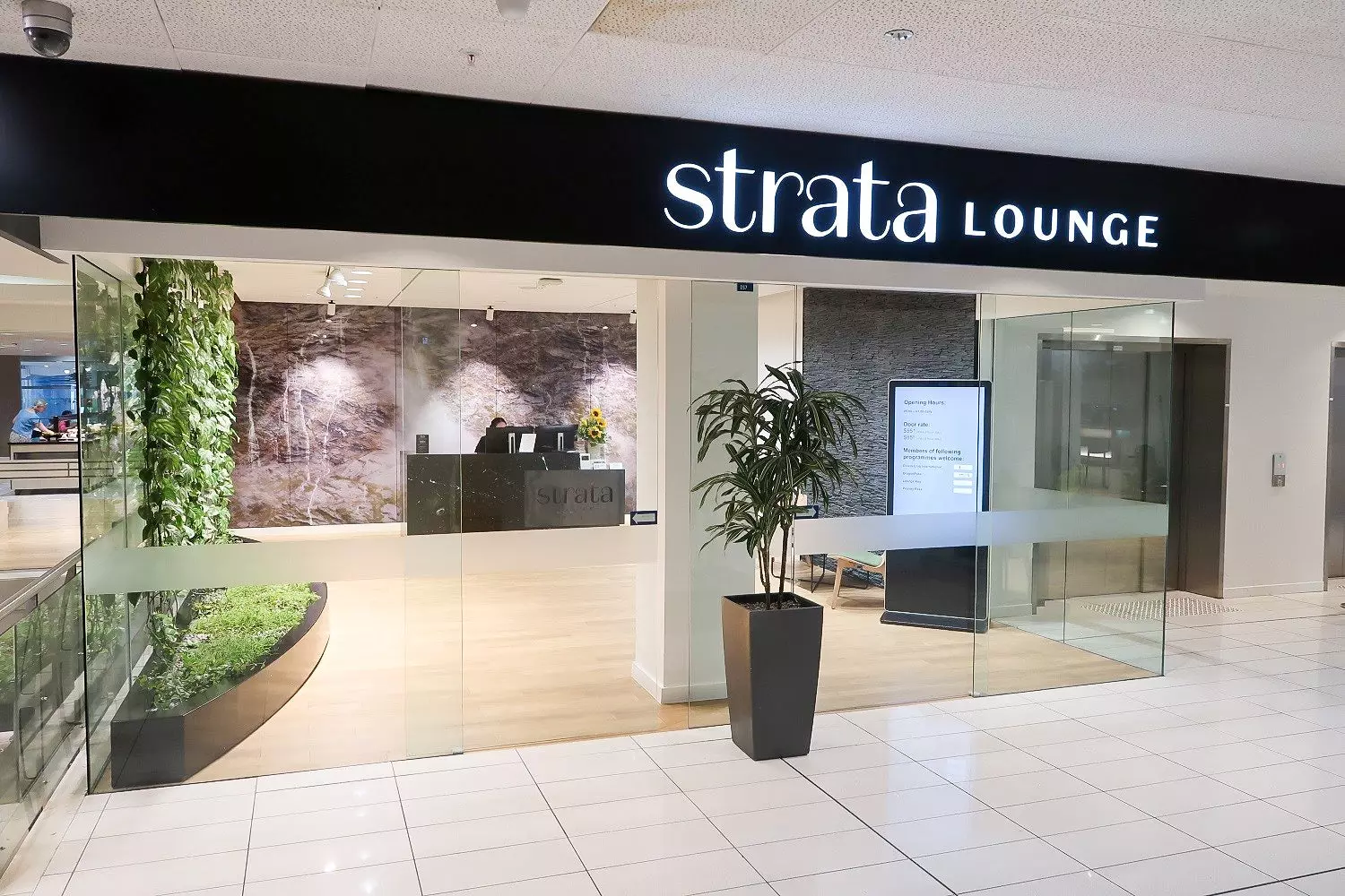 Tlhahlobo ea Strata Lounge e Auckland International 26764_3