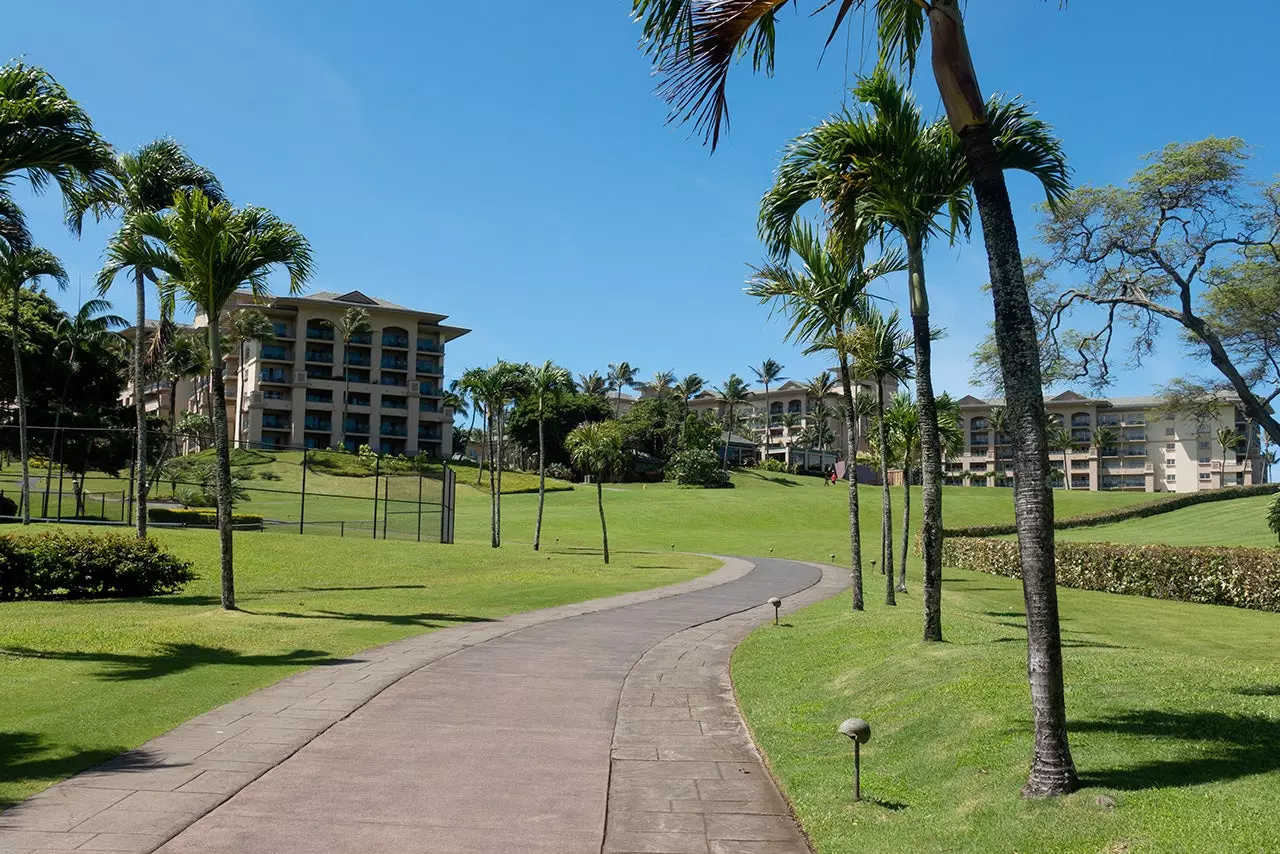 جائزو: The Ritz-Carlton Kapalua Maui ۾ 27651_26