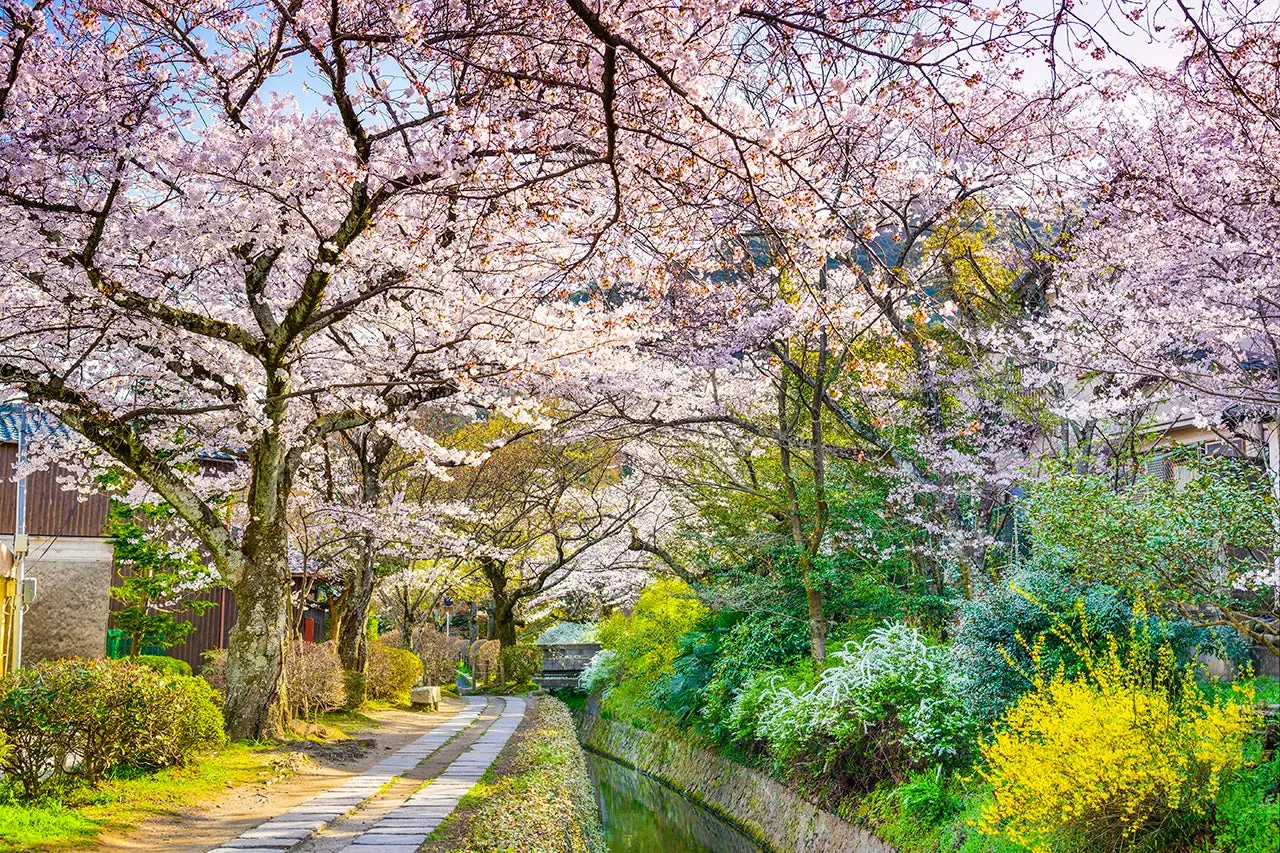 Kyoto, Japonsko na cestě filozofa na jaře. (Foto od Getty Images)