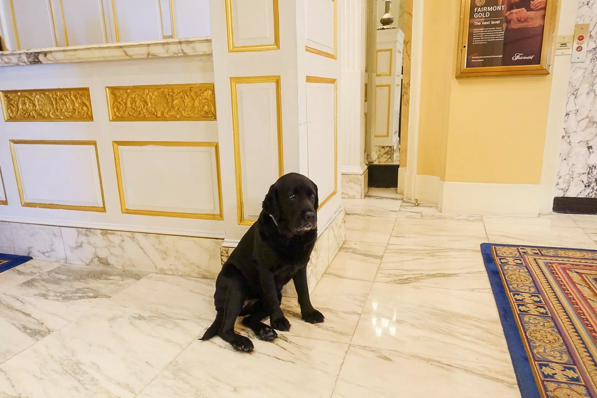 Преглед на Fairmont Copley Plaza во Бостон, Масачусетс 29343_5