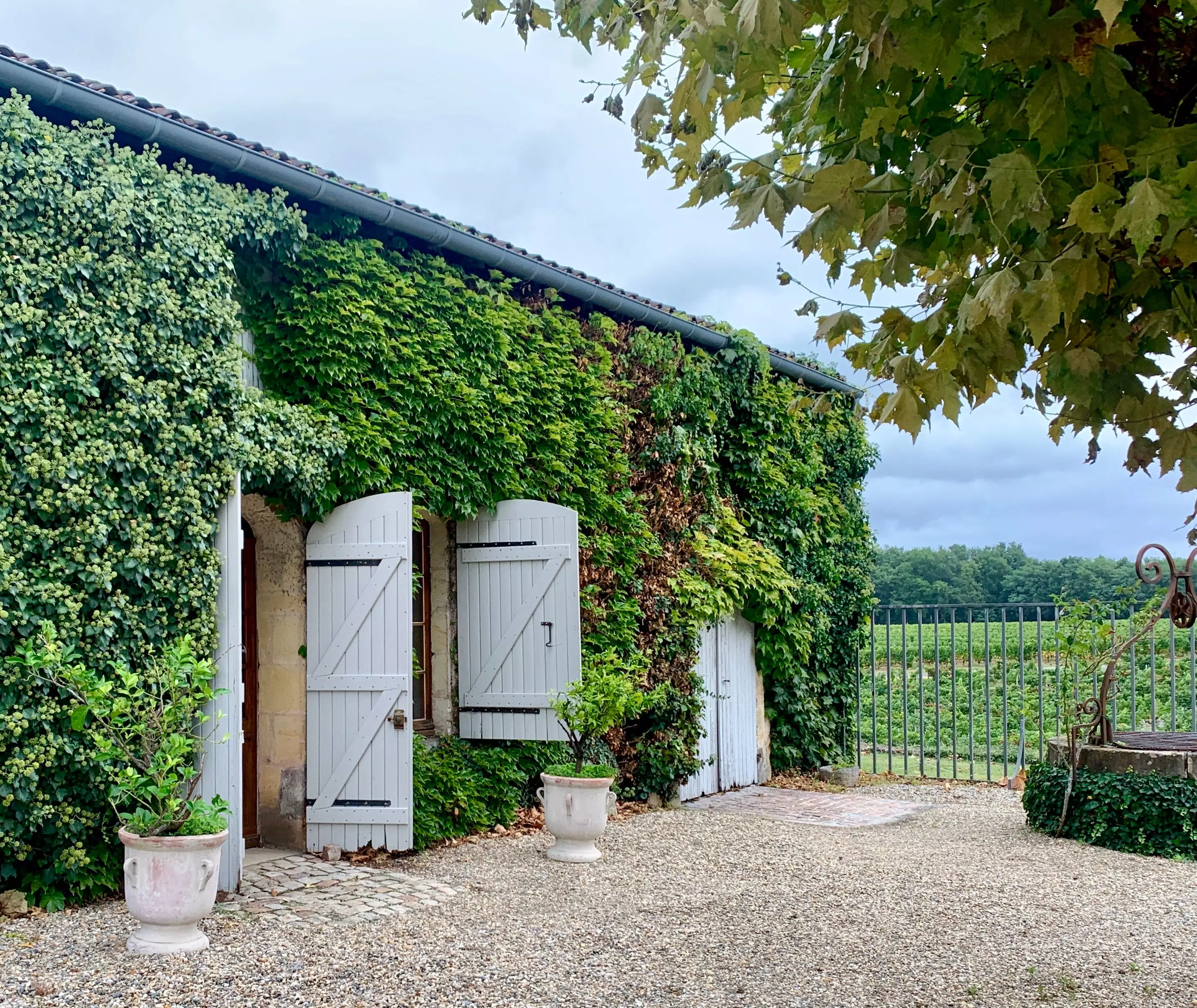Vinarije Bordeauxa obiteljske su tvrtke. Chateau Doms svoju kušaonicu ima u seoskoj kući iz 17. stoljeća.