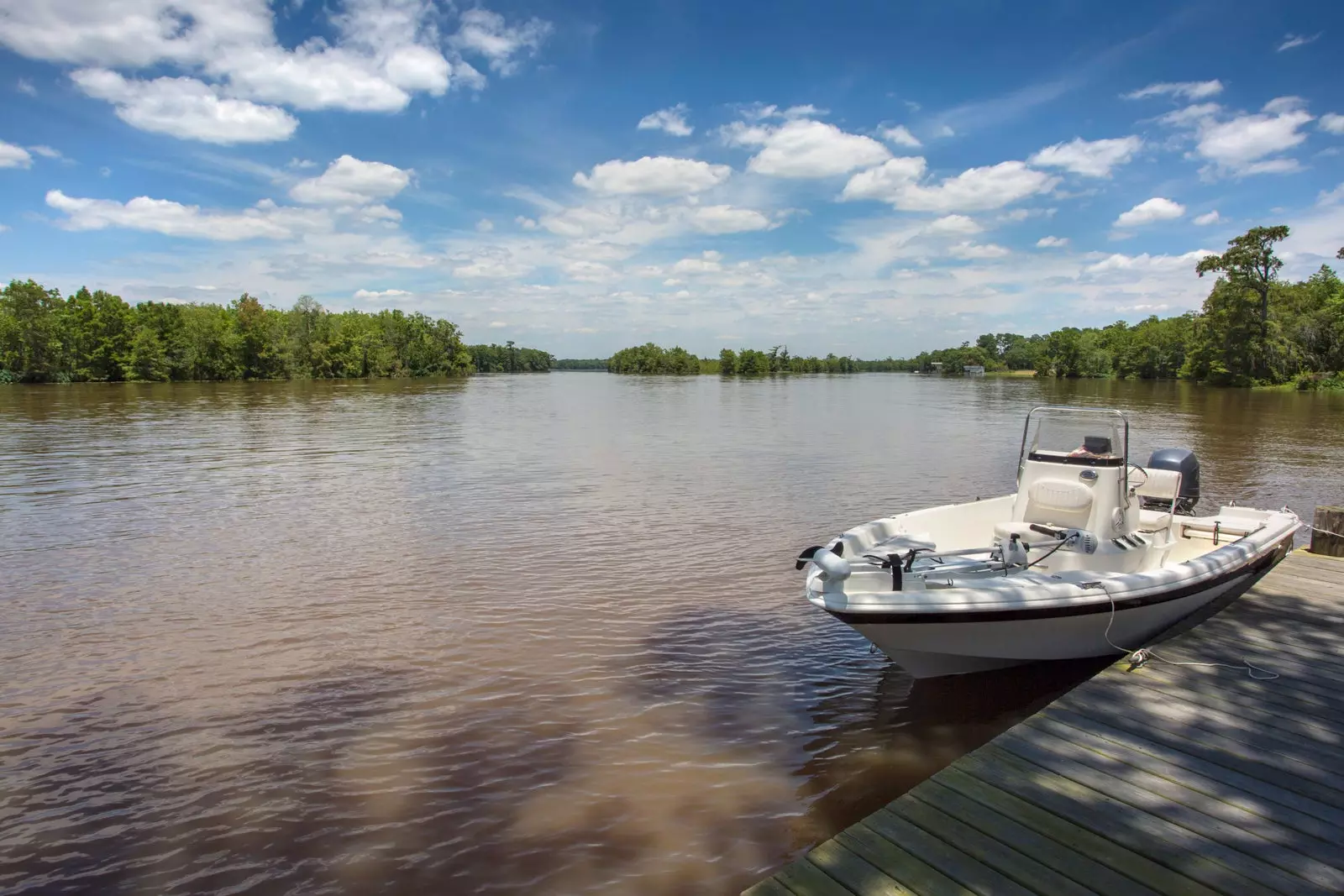 Llyn Charles, Louisiana. (Llun gan Jess McGlothin Media/Aurora Photos/Getty Images)