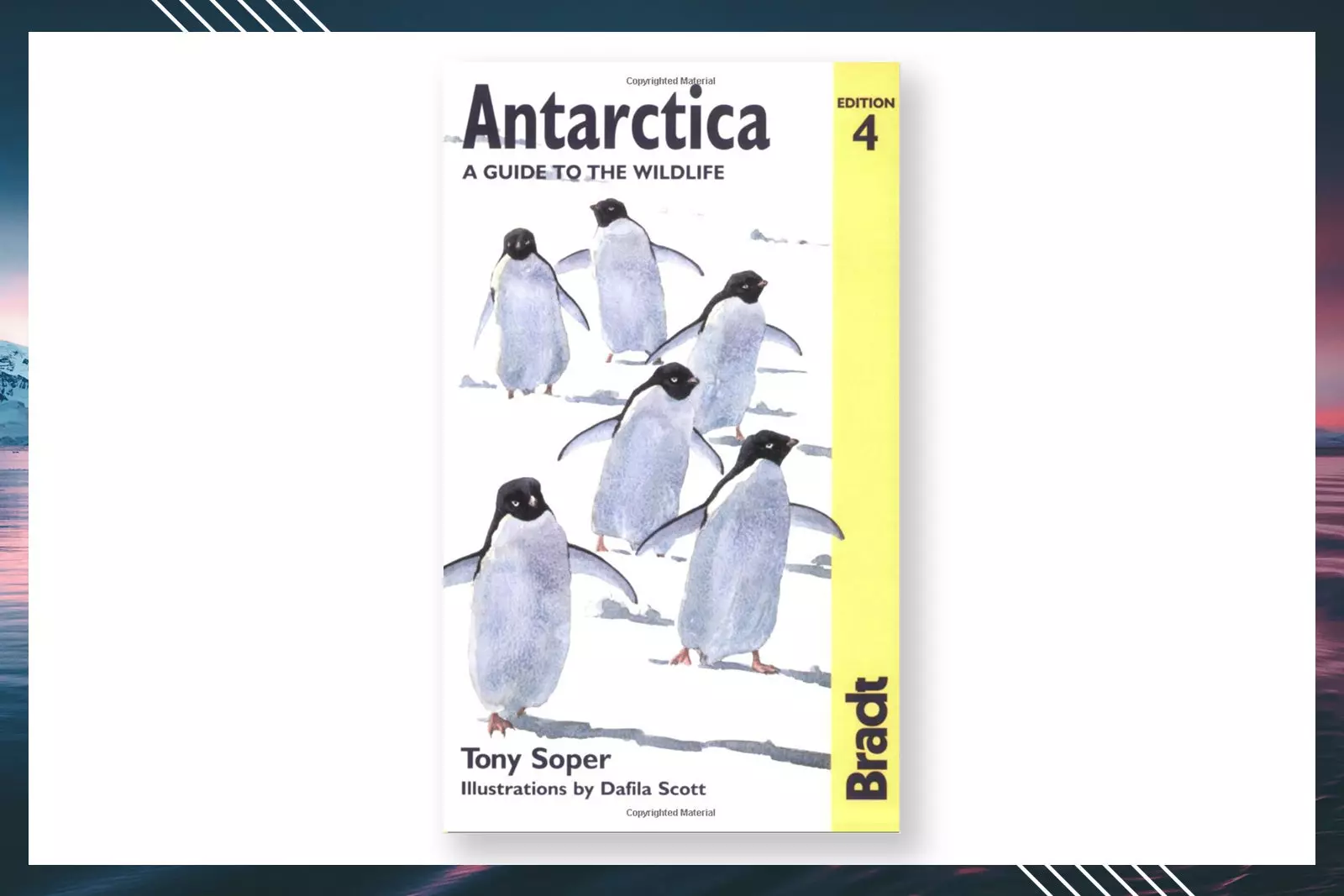 Rhestr ddarllen yr Antarctica: Mae'r 8 llyfr hyn yn rhai y mae'n rhaid eu darllen cyn taith i'r Cyfandir Gwyn 38067_6