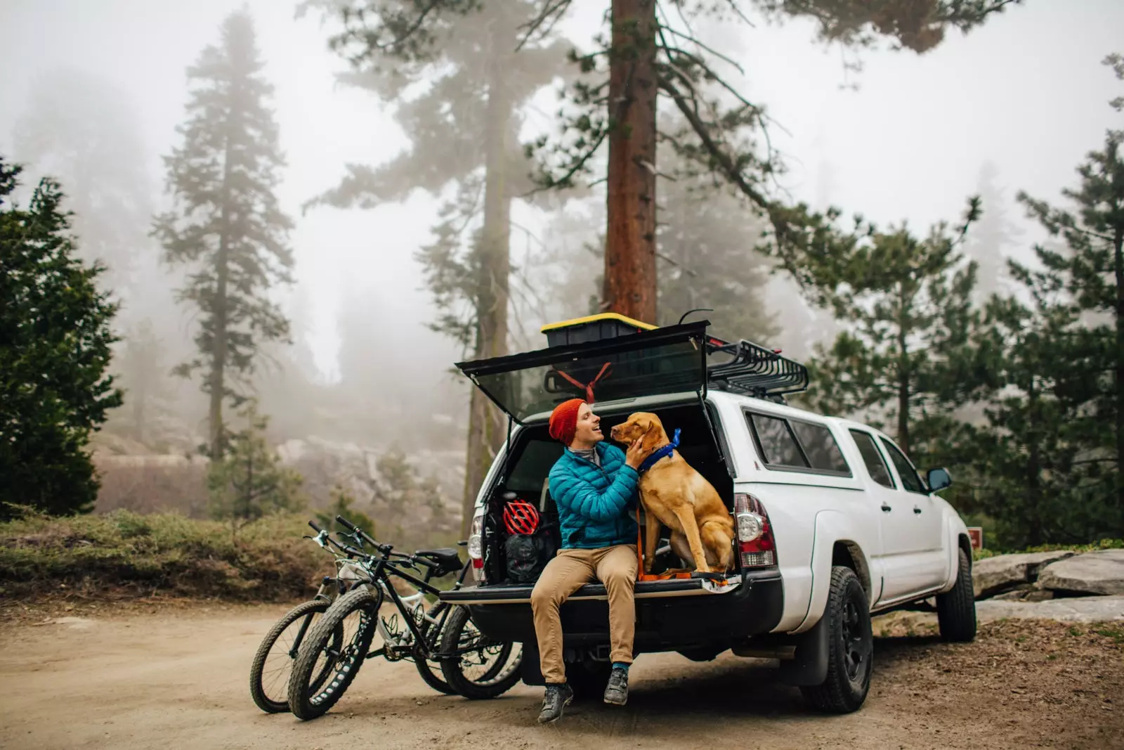 Dit kin einlings it jier wêze dat jo op dy lang plande roadtrip troch de FS geane. (Foto troch Peter Amend / Getty Images)