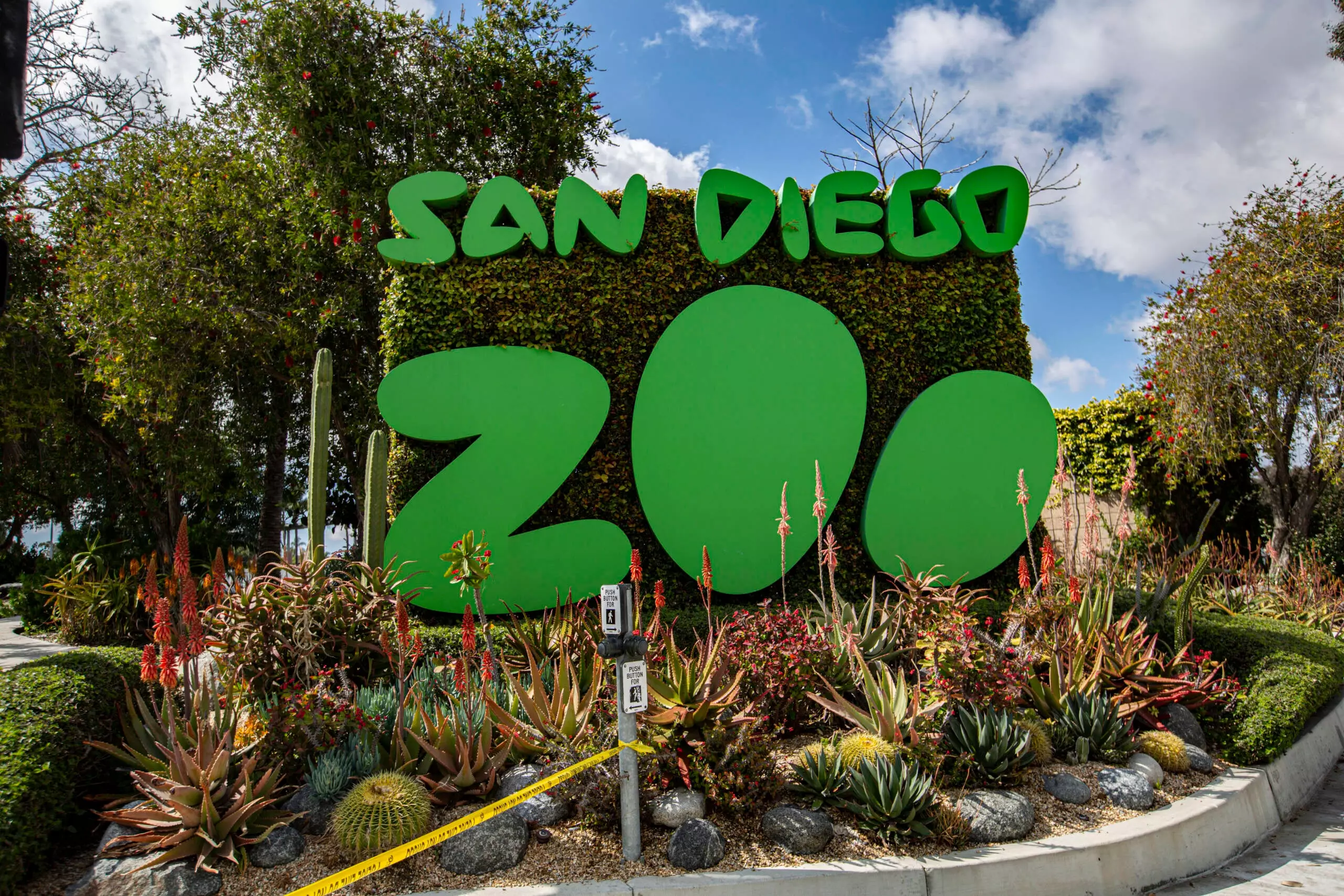 Zoo ya San Diego Mata 2020. (Ifoto ya Daniel Knighton / Amashusho ya Getty)