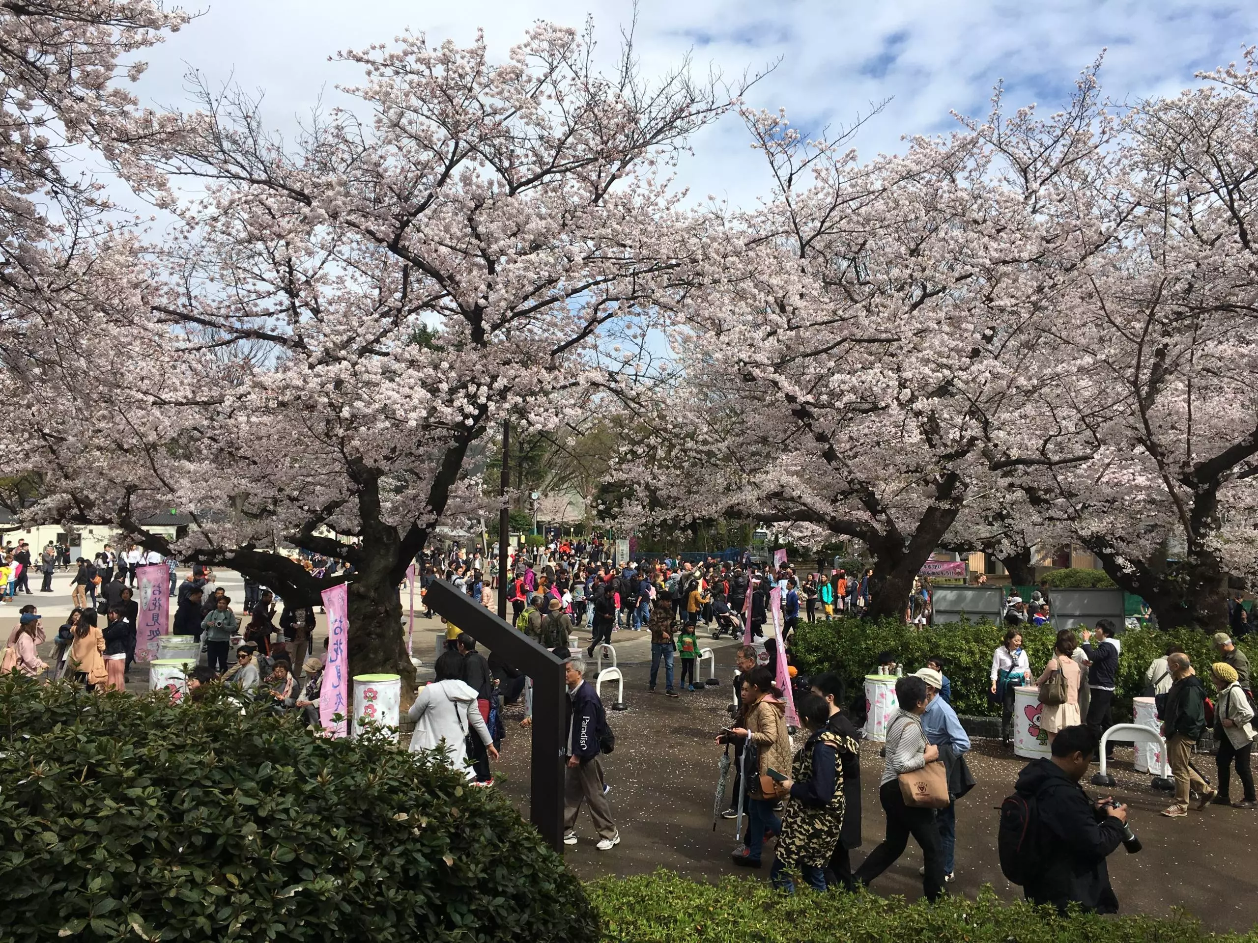 Tokyo April 2017.