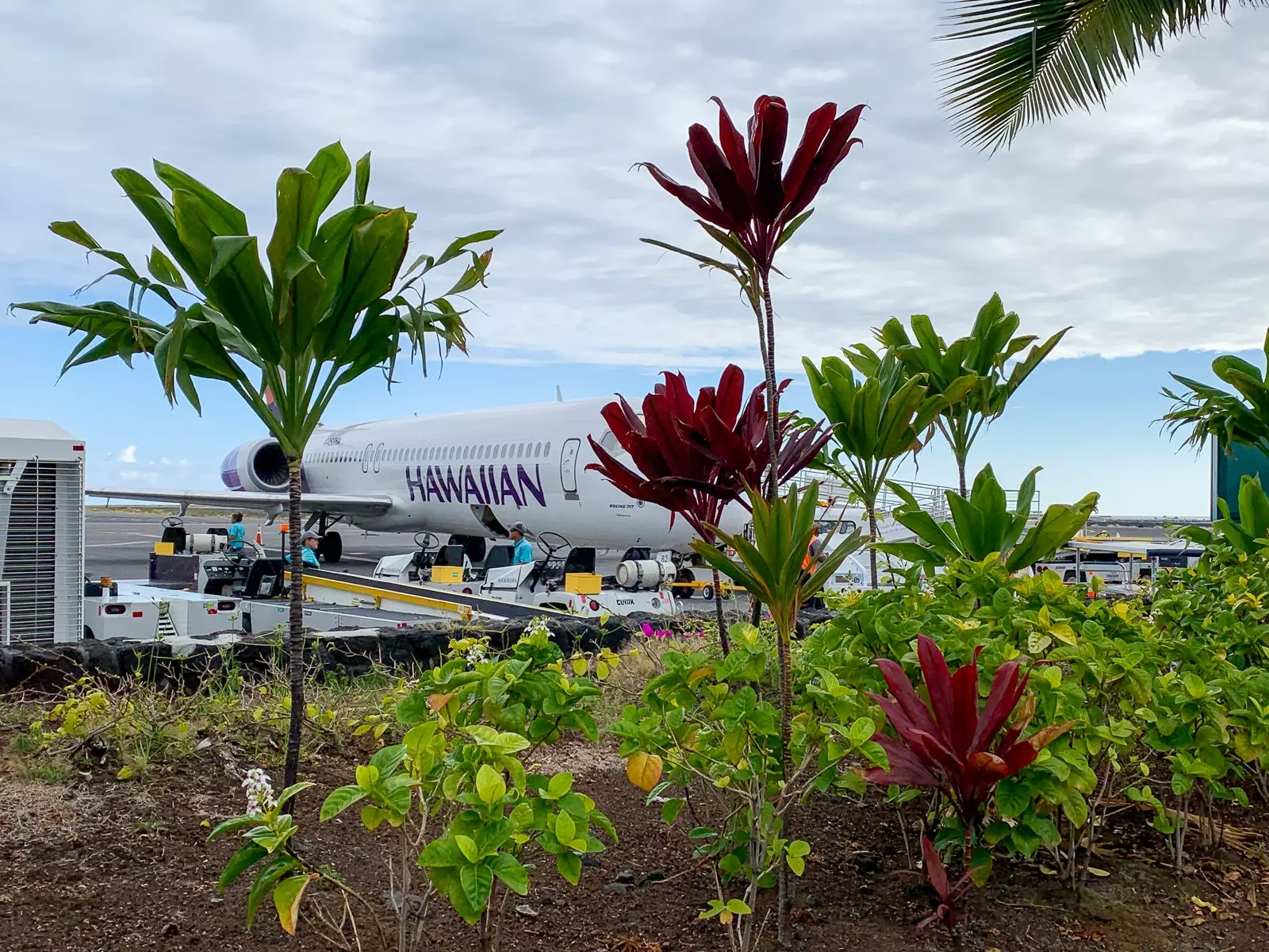 Hawaiian Airlines (Foto dening Summer Hull/The Points Guy)