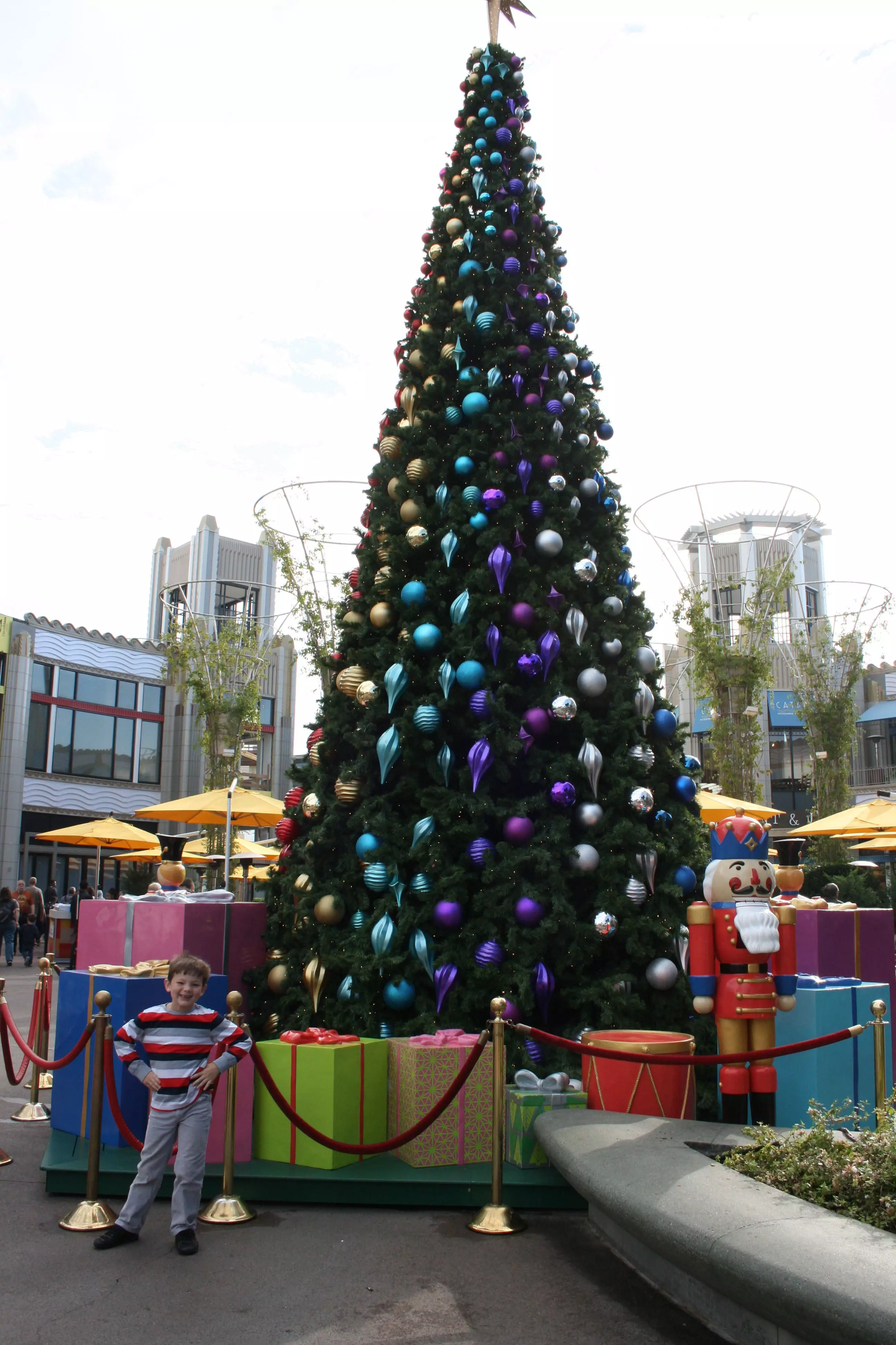 Albero di Natale del centro di Disney. (Foto di Julie Bigboy)