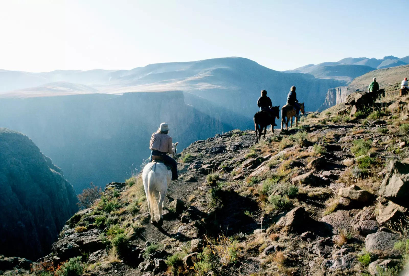 Basuto-pony's yn 'e Drakensbergen yn Lesotho. (Foto troch Buddy Mays / Getty Images)